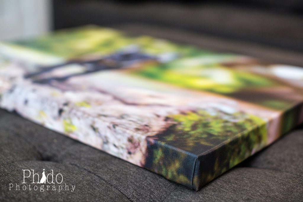 Phido Art Products » Phido Photography – Pet