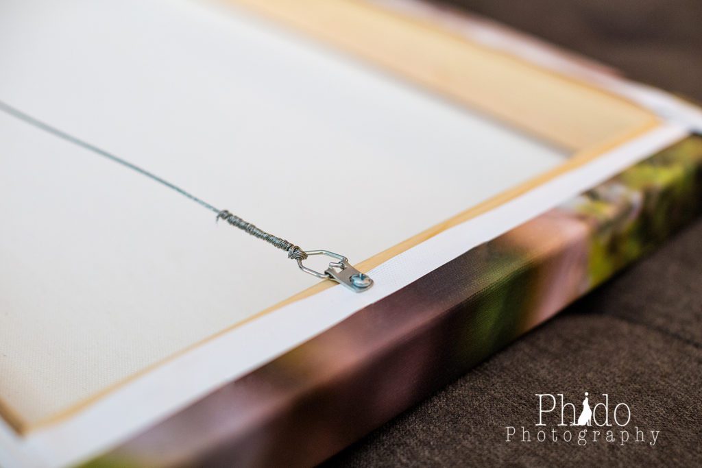 Phido Art Products » Phido Photography – Pet