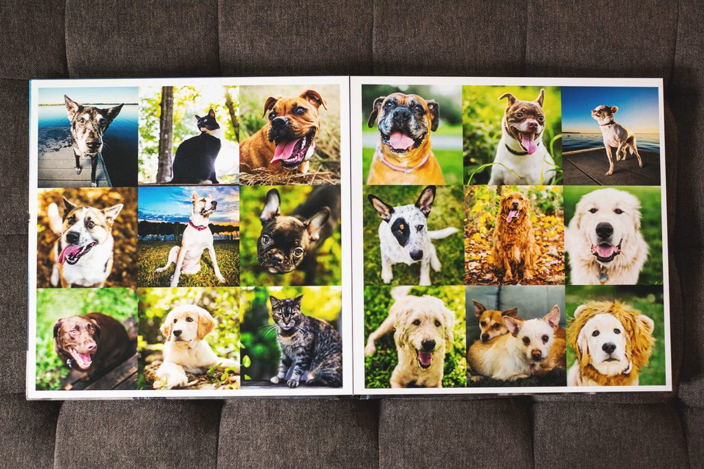 Phido Art Products » Phido Photography – Pet